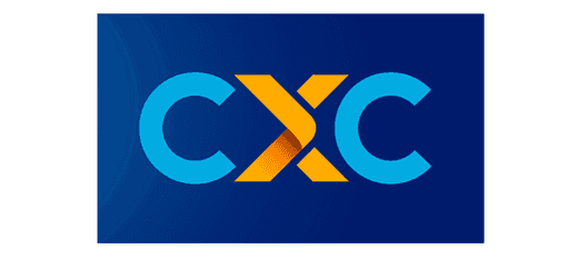 Global Brand Strategy | Belong Creative